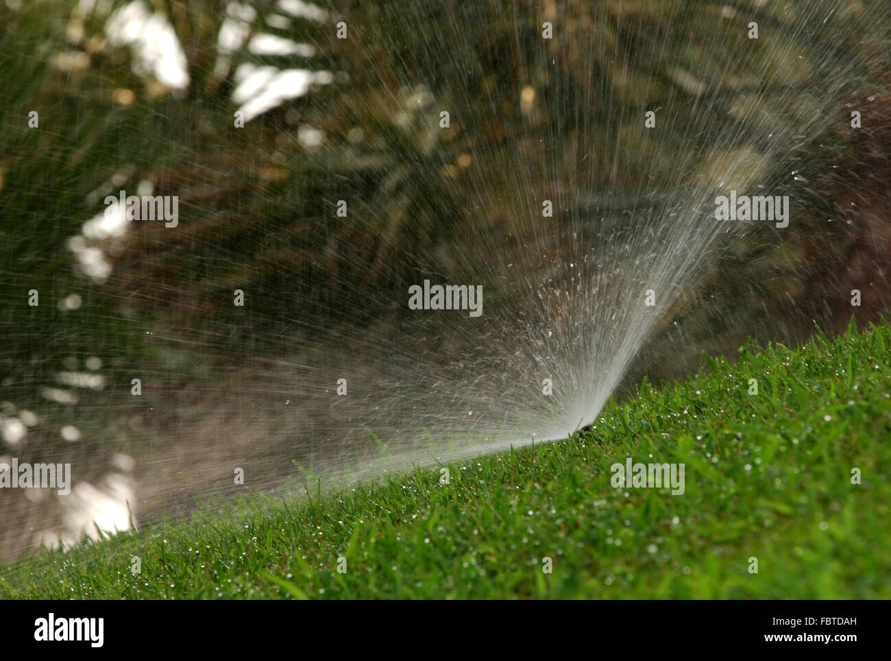 Wasser sprinkler hi-res stock photography and images - Alamy