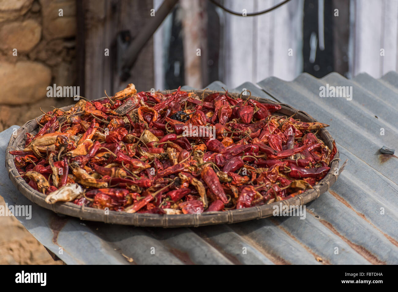 Hot red chili peppers drying in the sun on a rooftop in the quite and ...