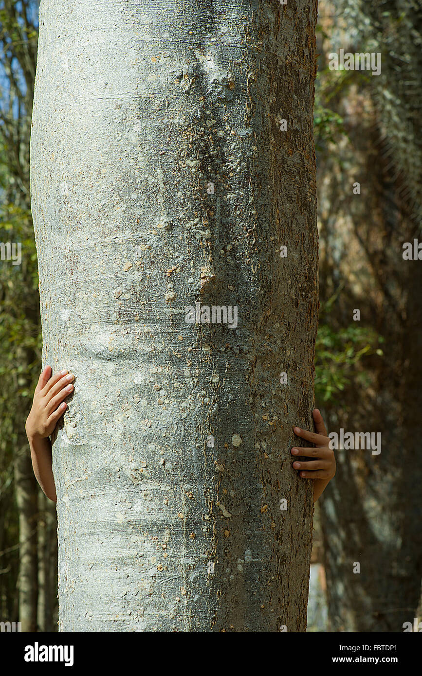 Child Hiding Behind Tree High Resolution Stock Photography and Images ...