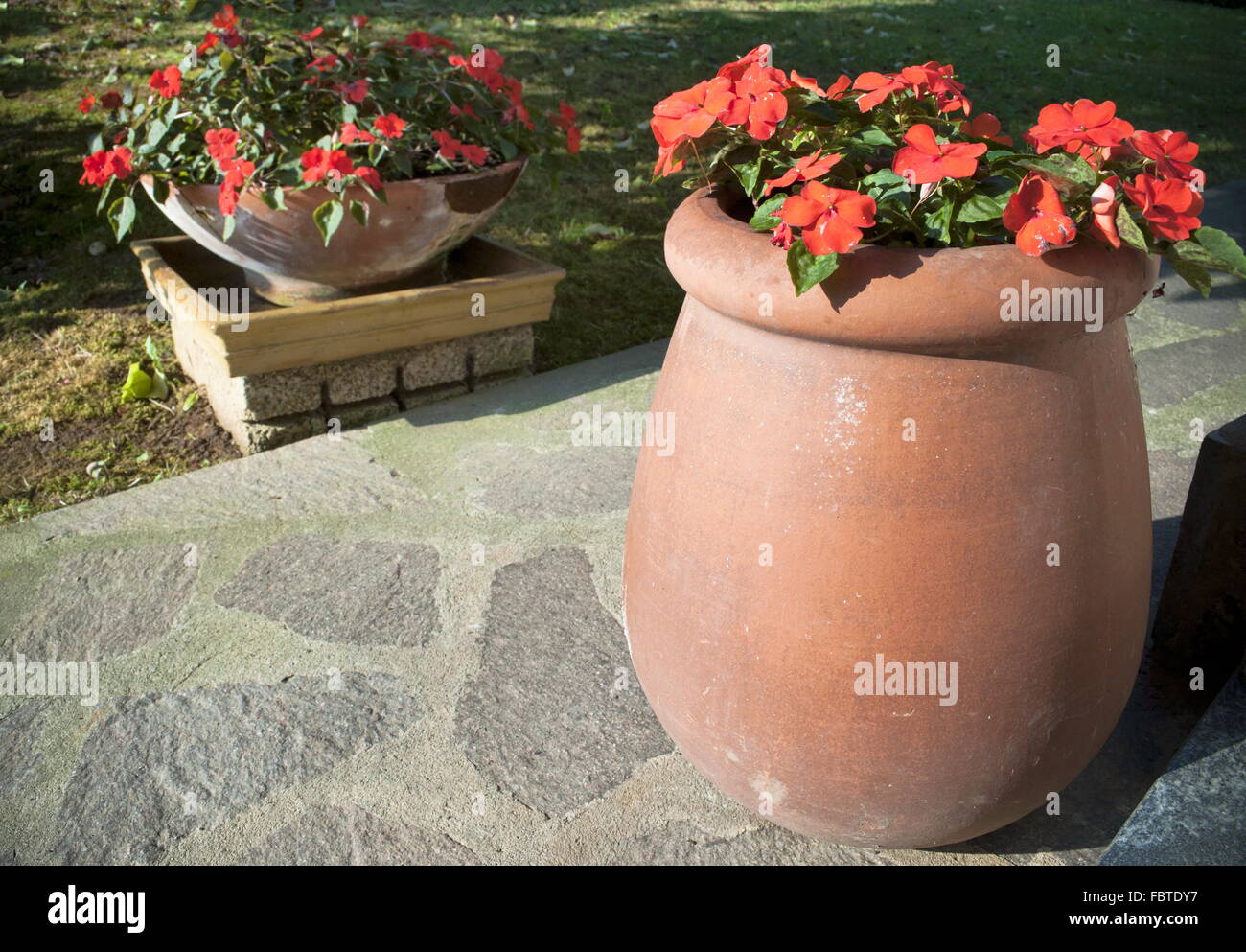 Vase flower pot hi-res stock photography and images - Alamy