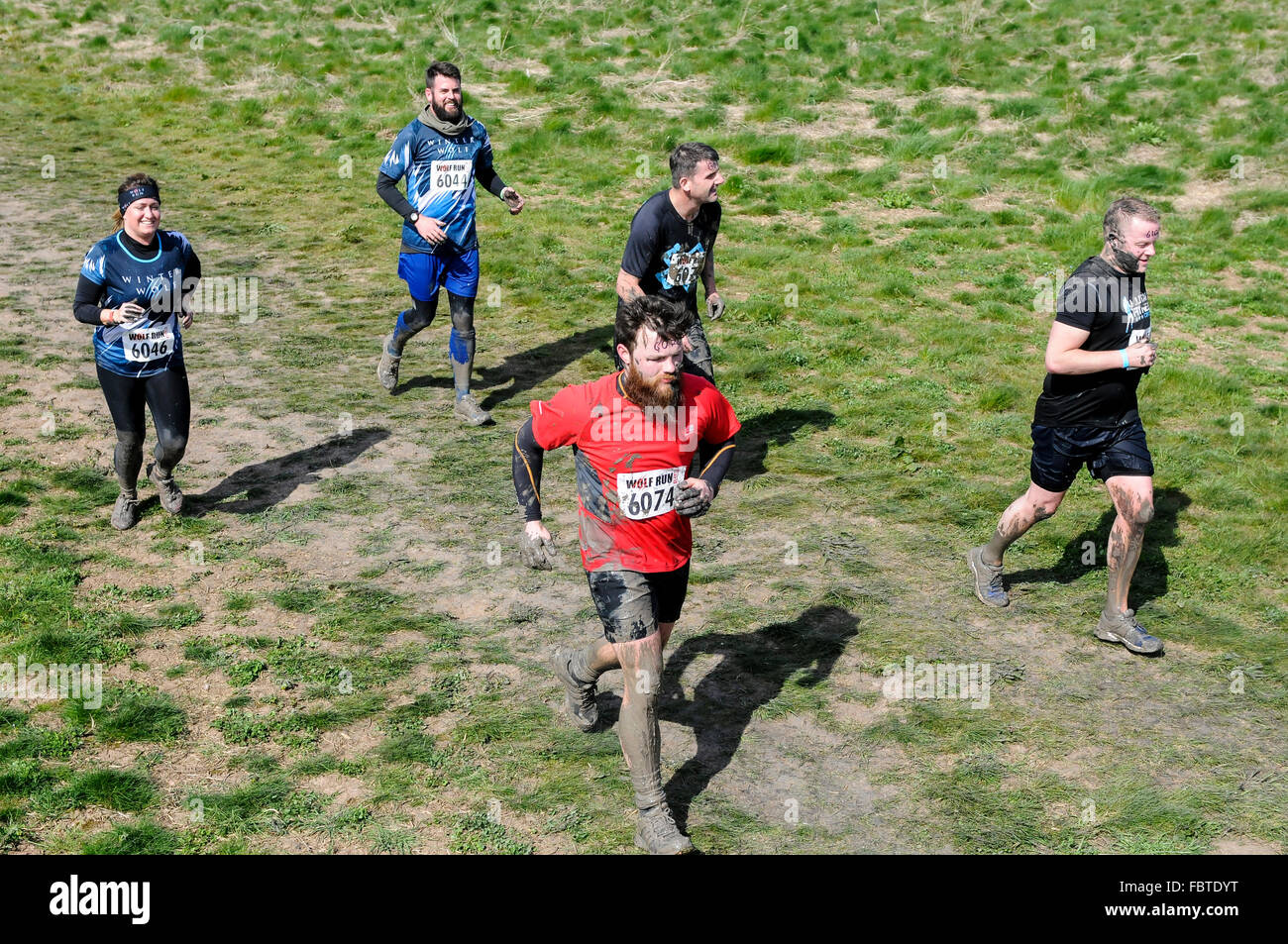 Cross country running at obstacle course race, UK Stock Photo - Alamy