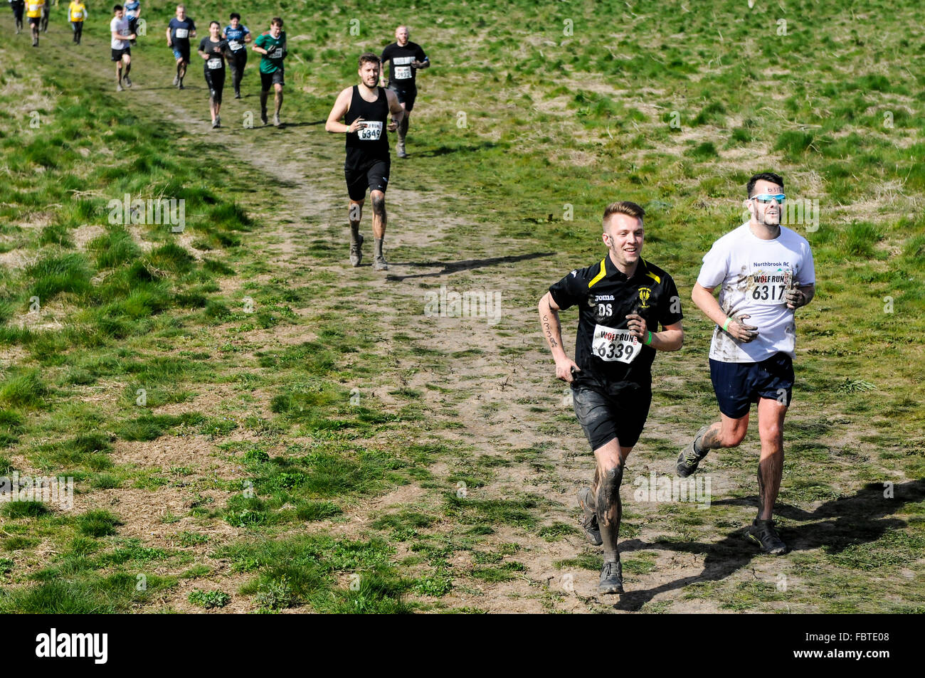 Cross country running at obstacle course race, UK Stock Photo - Alamy