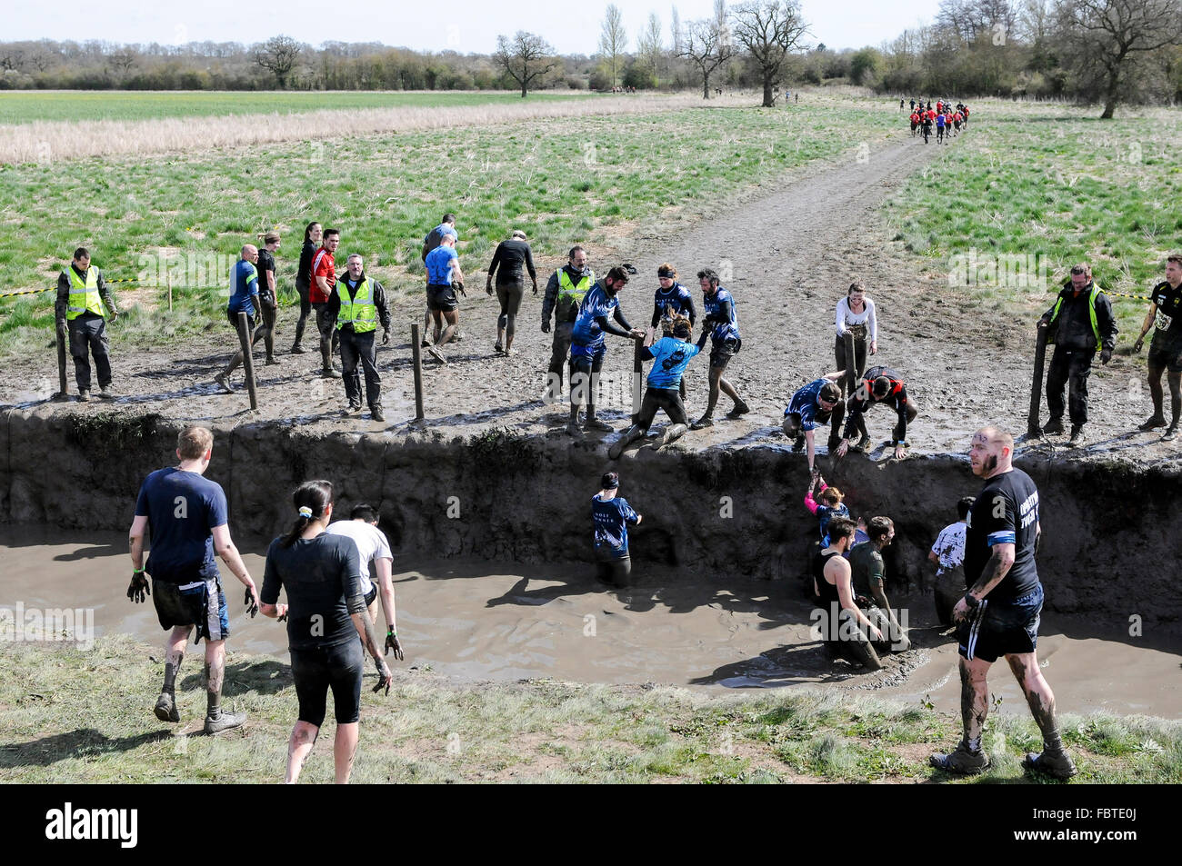 Runners at obstacle course race, UK Stock Photo - Alamy