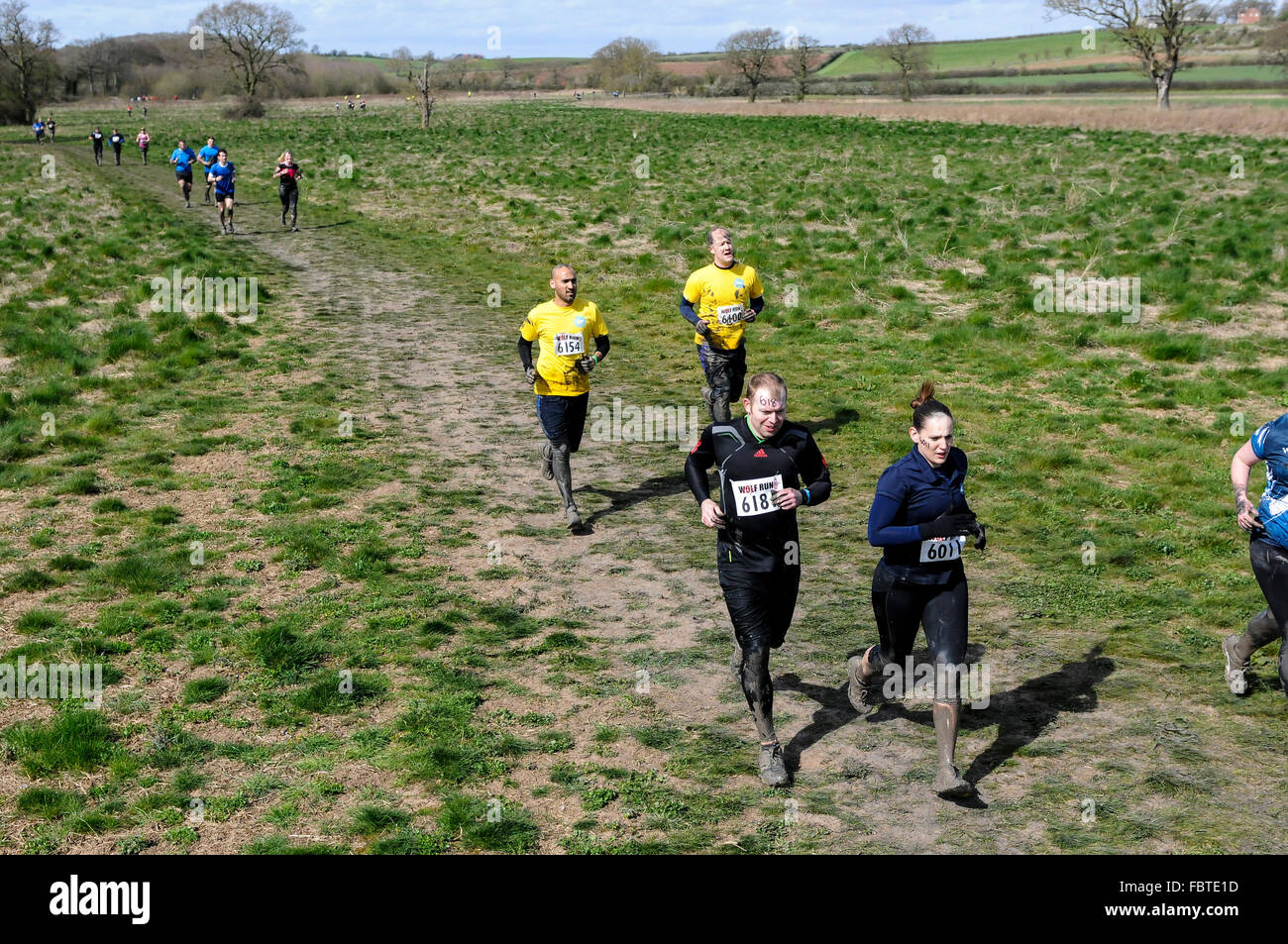 Cross country running at obstacle course race, UK Stock Photo - Alamy