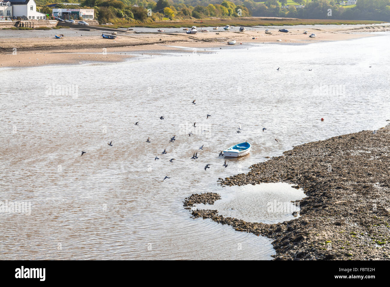 River Torridge near Bideford in Devon Stock Photo - Alamy