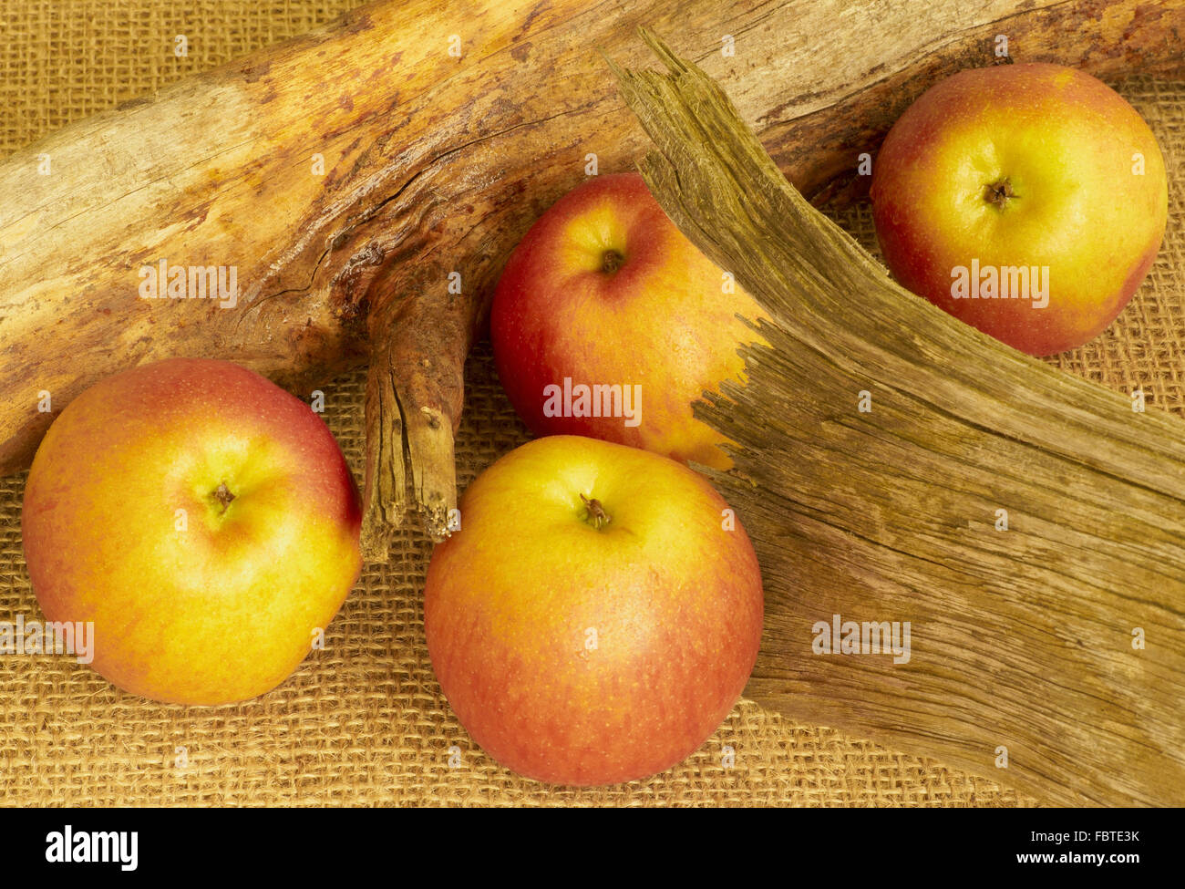 Esculent root hi-res stock photography and images - Alamy