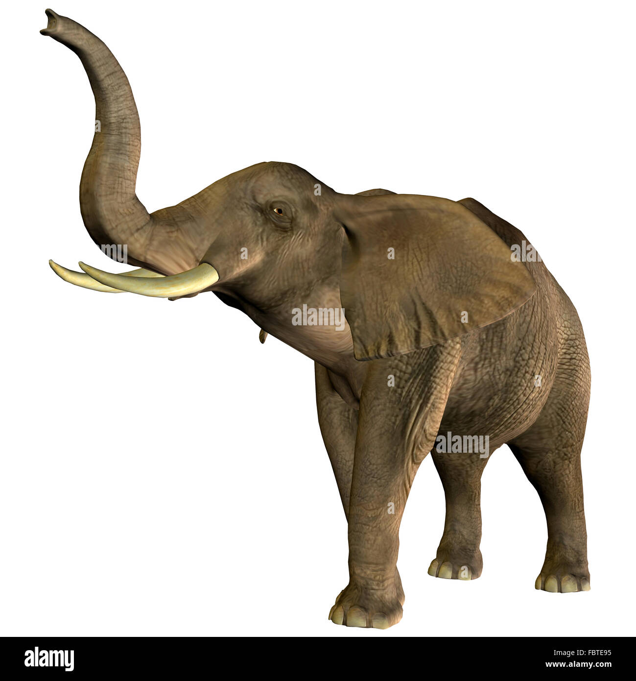 Africa elephant trumpeting hi-res stock photography and images - Alamy
