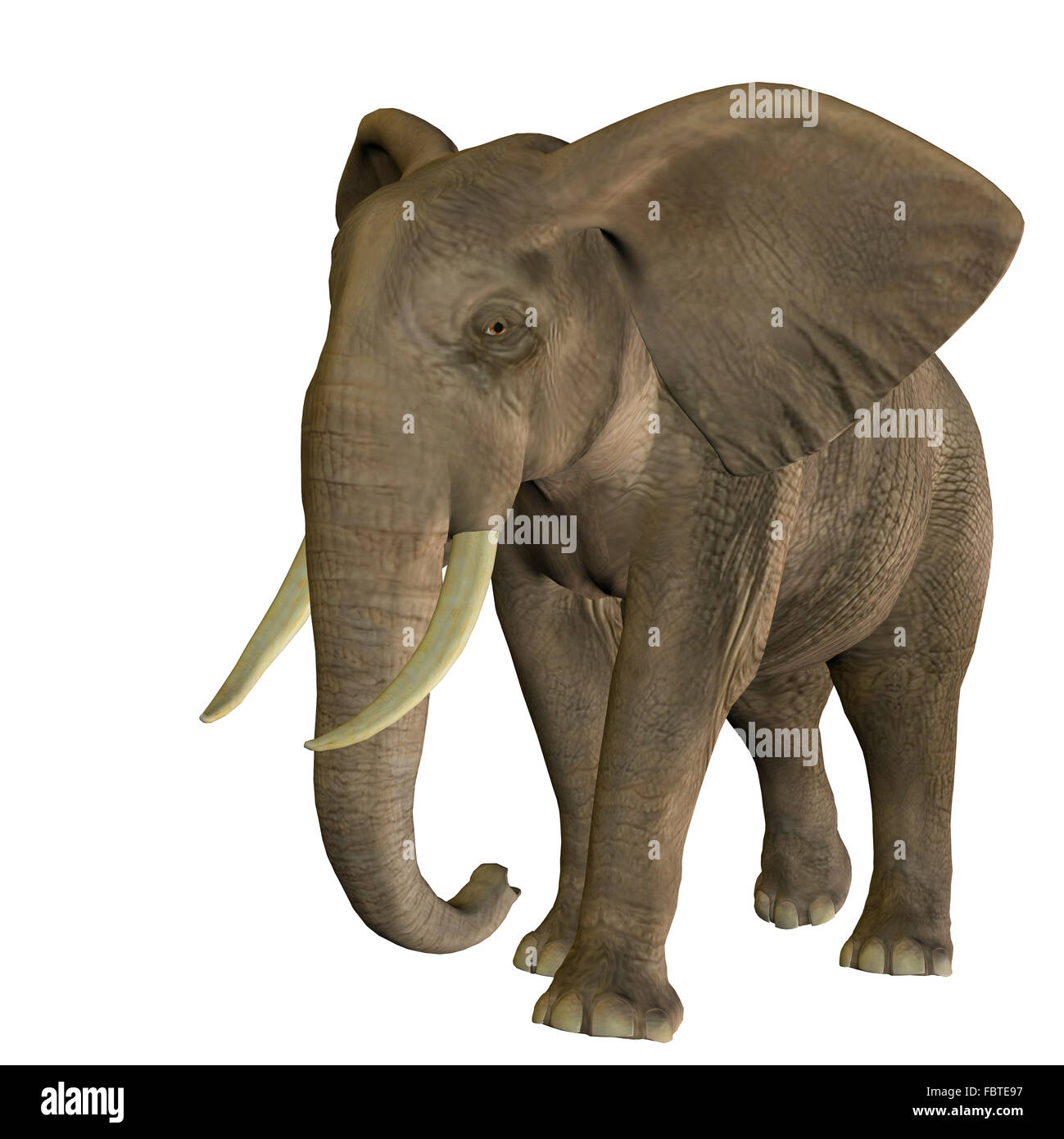 Elephant galloping hi-res stock photography and images - Alamy