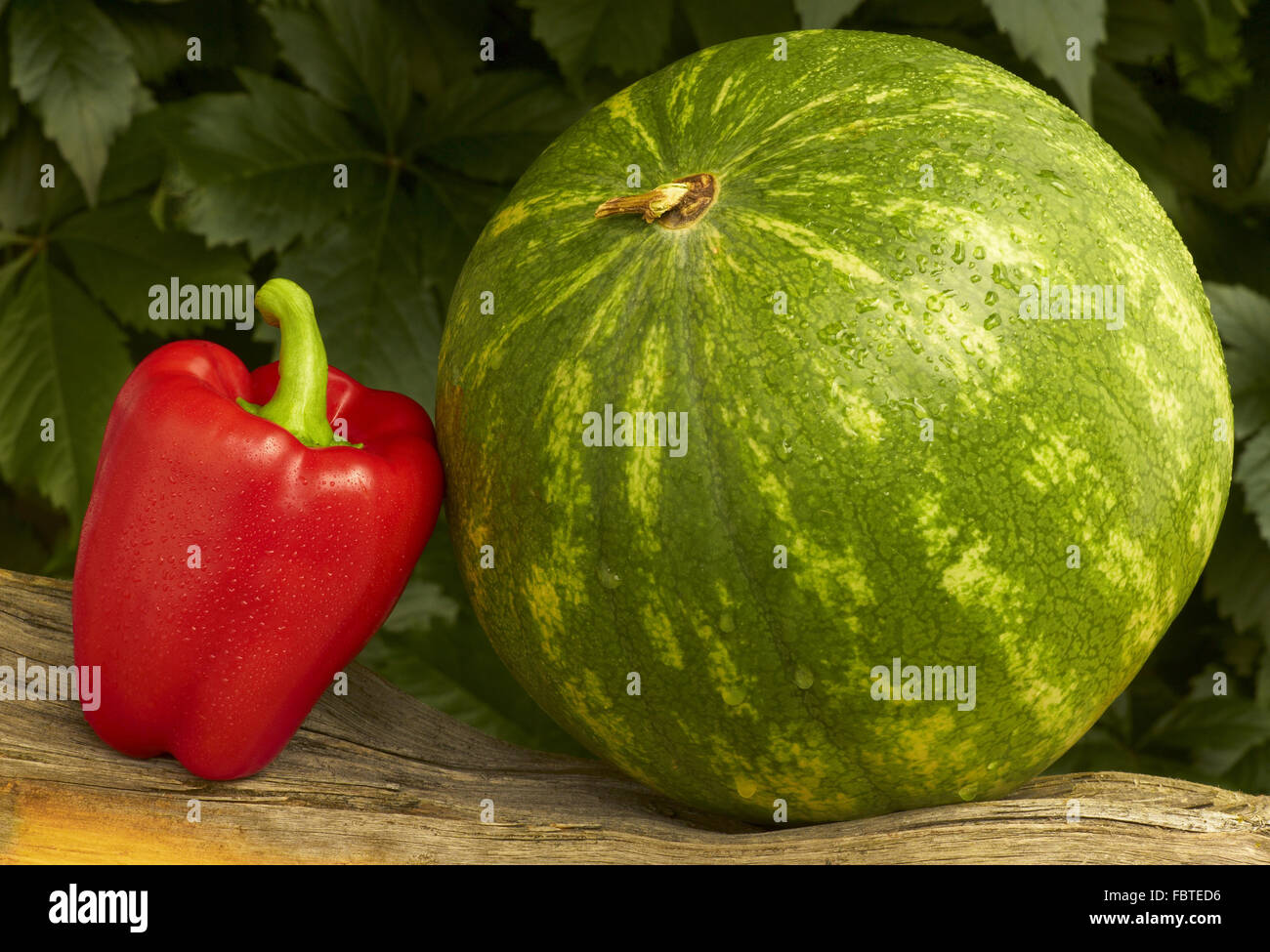 Melon, paprika and root Stock Photo - Alamy