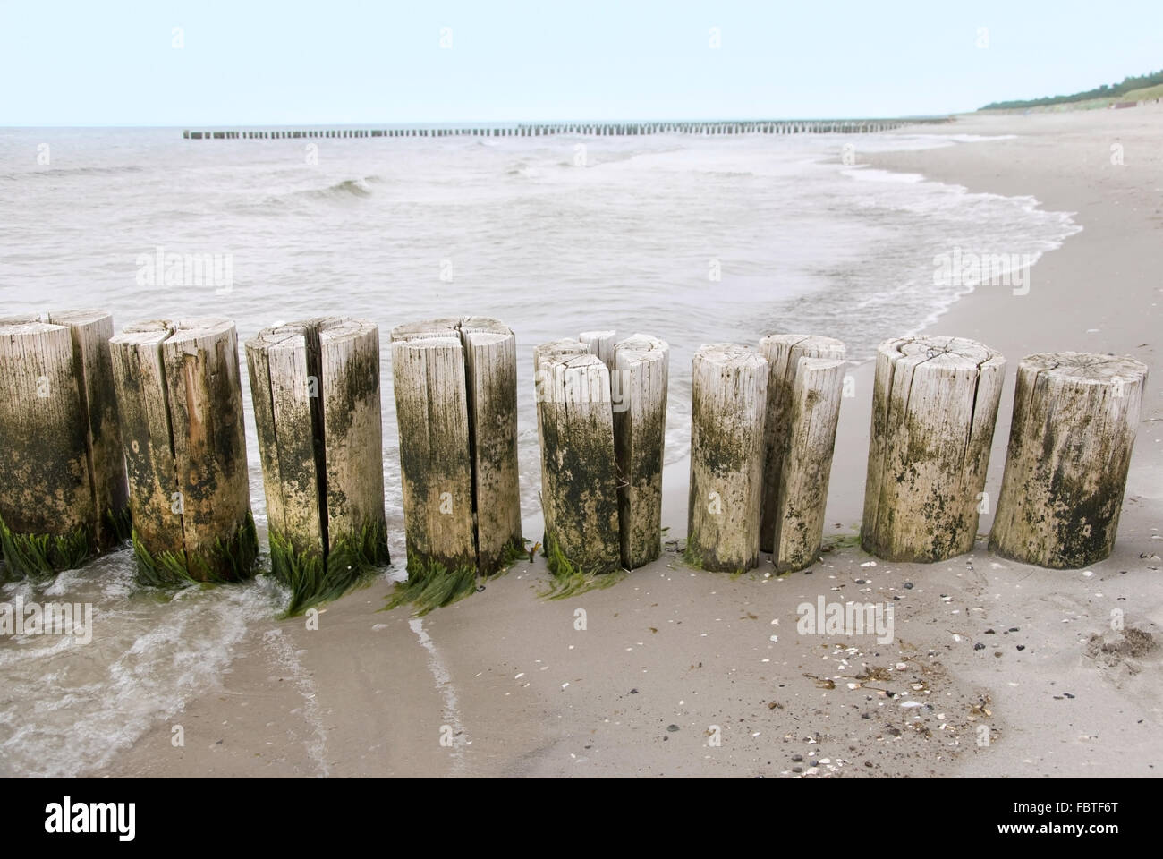 Groins High Resolution Stock Photography and Images - Alamy