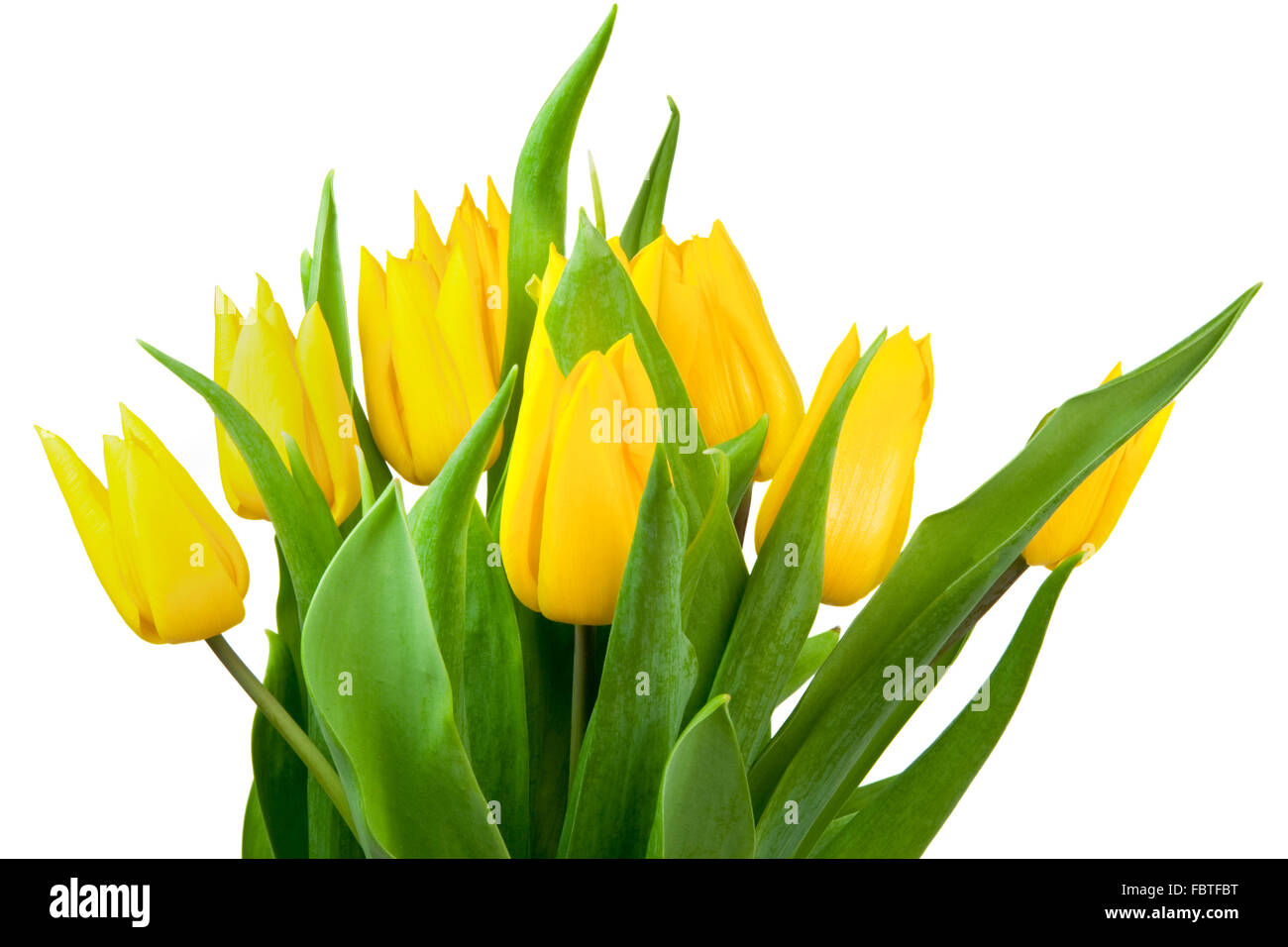 Ideal figure hi-res stock photography and images - Alamy