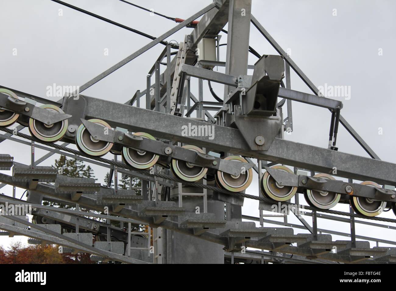 High rigger tree hi-res stock photography and images - Alamy