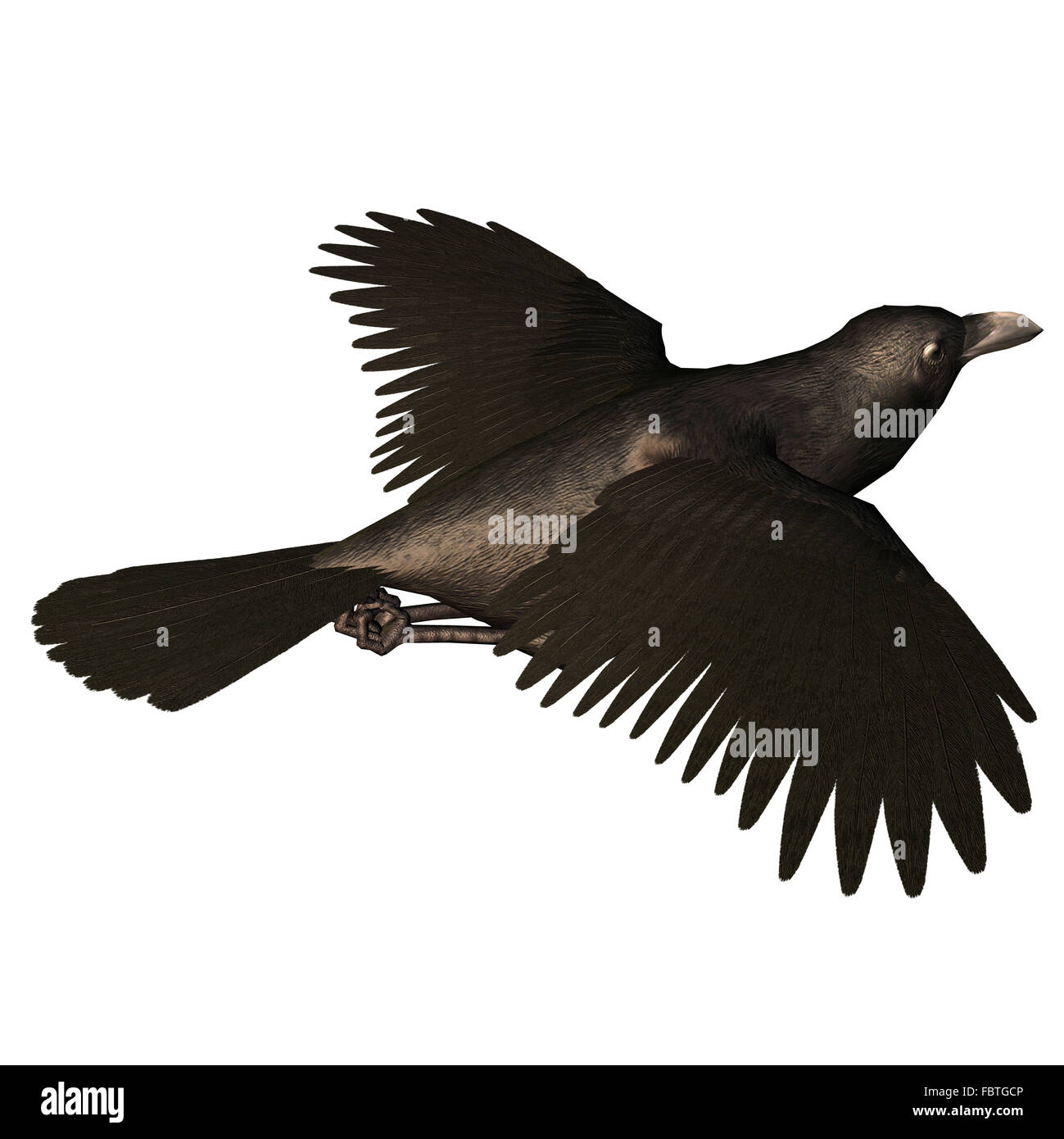 Black Crow Flying Stock Photos & Black Crow Flying Stock Images - Alamy