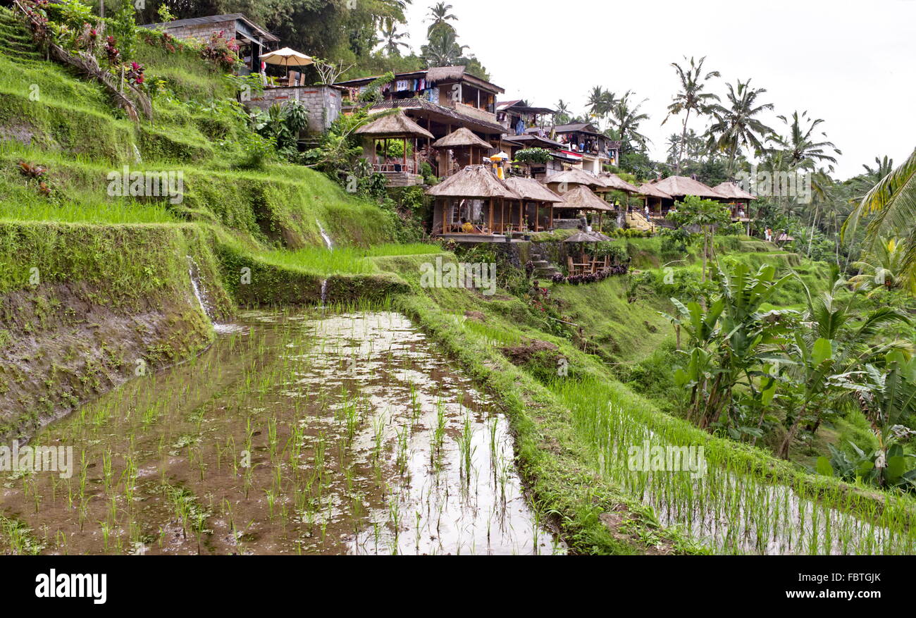 Indonesian village hi-res stock photography and images - Alamy