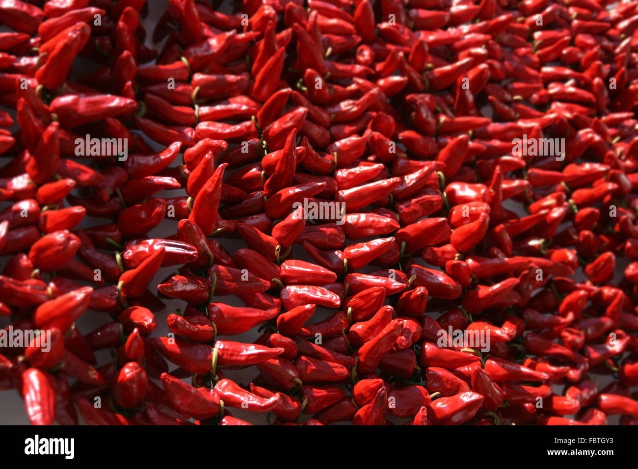 drying pepper bunches Stock Photo - Alamy