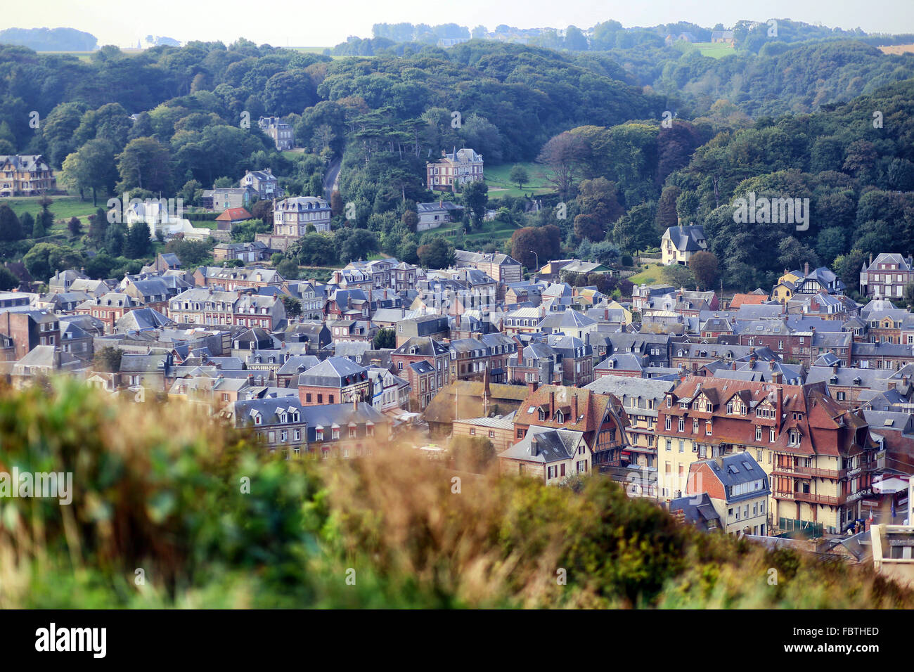 Aerial shot of townscape and woodland Stock Photo - Alamy