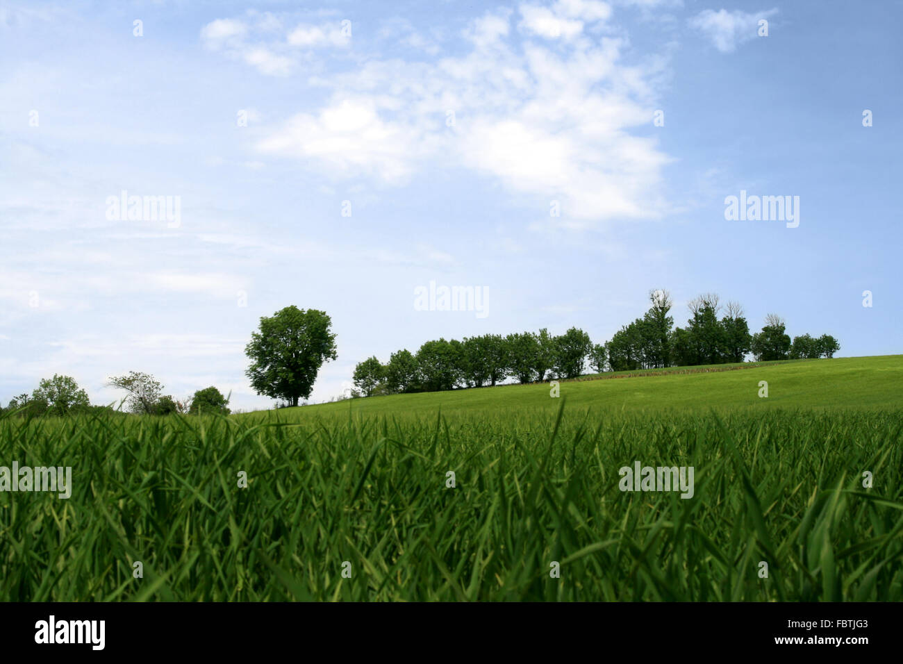 Quiet Spring landscape Stock Photo - Alamy