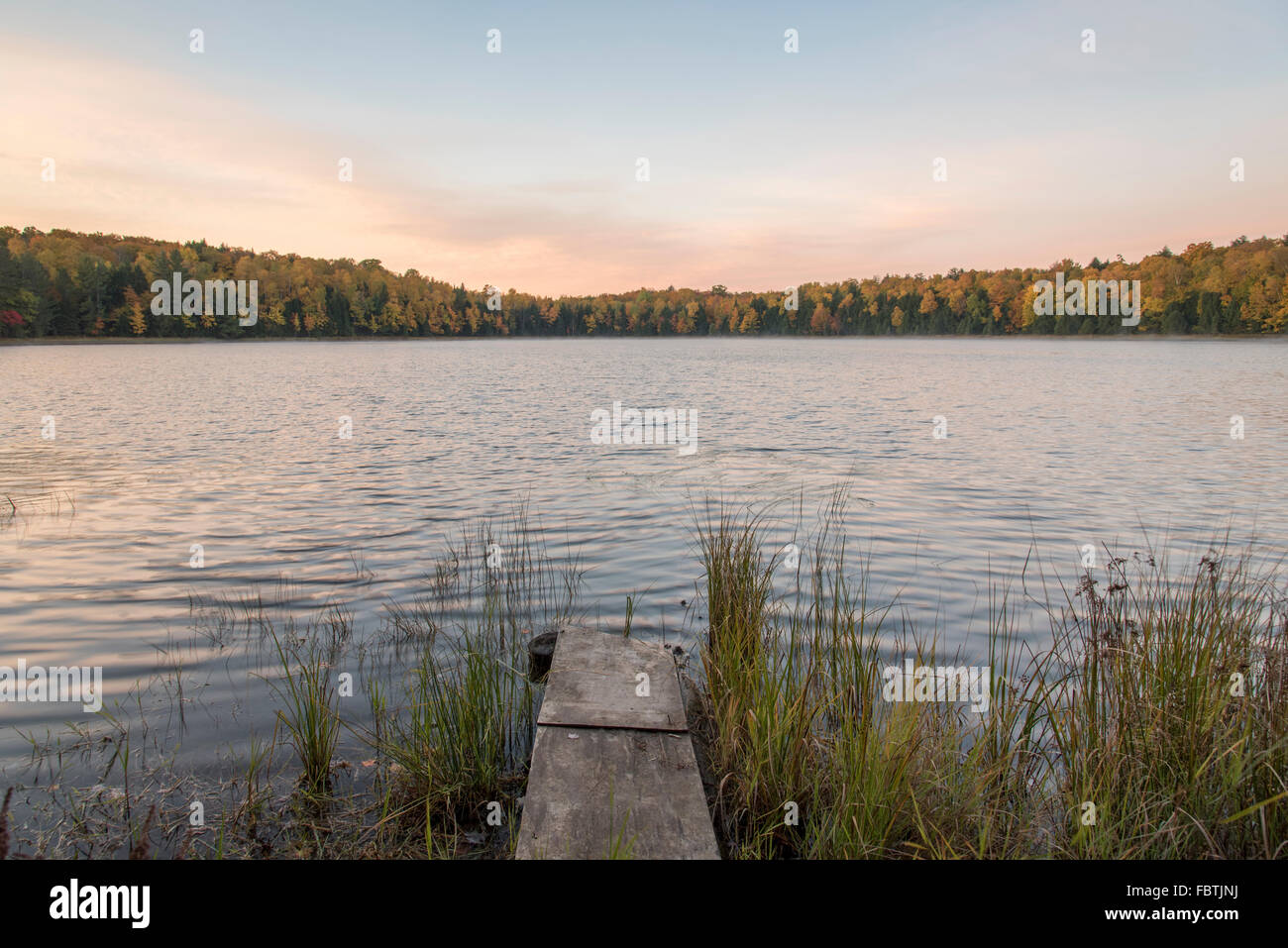 A lake with a surrounding forest in fall colors in Wisconsin. A small ...