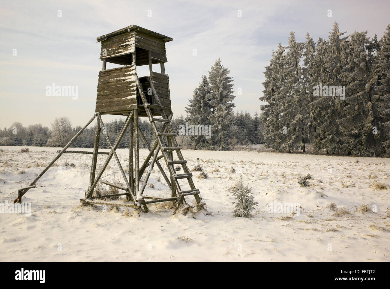 Winter in the nature reserve Stock Photo - Alamy