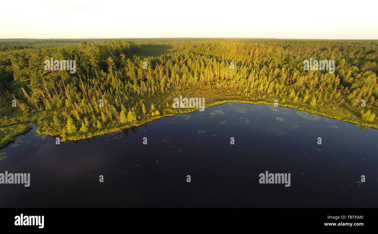 Lake gives way to bog, conifer swamp,then white pines and northern ...