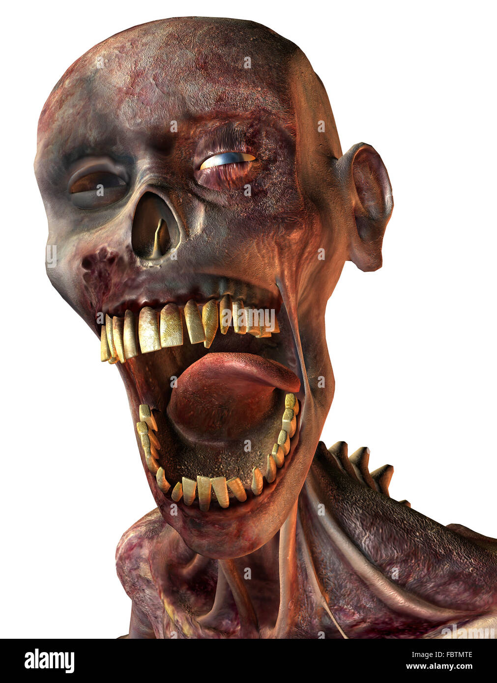 rotten head of a zombie Stock Photo - Alamy