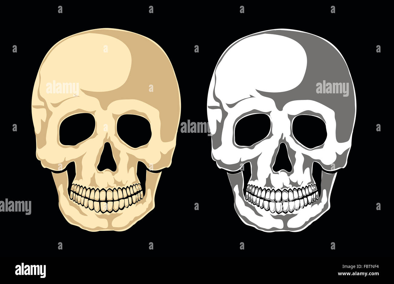 Ray skull dog in hi-res stock photography and images - Alamy