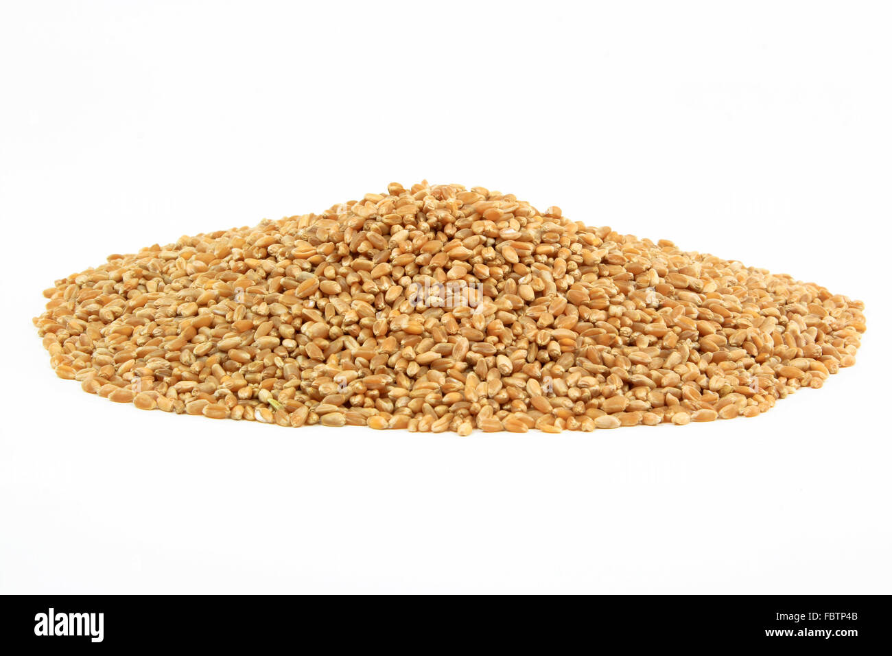 Wheat kernels hi-res stock photography and images - Alamy