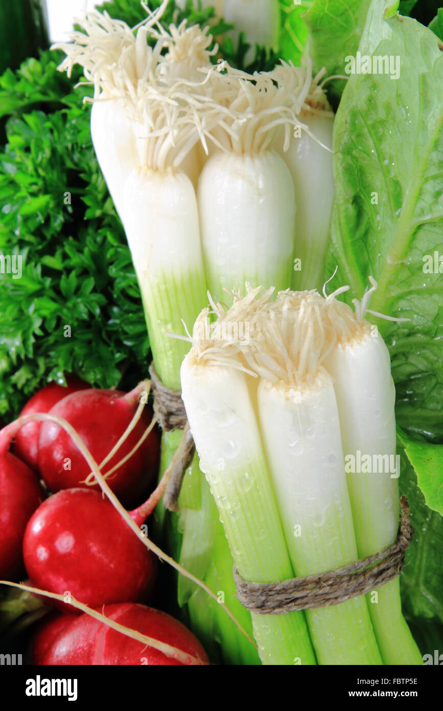 Abstract onion hi-res stock photography and images - Alamy