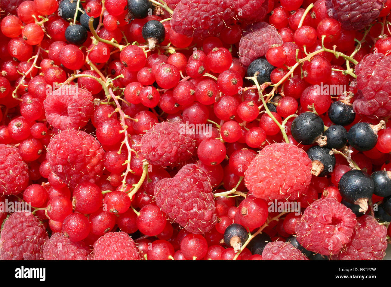 Asorted fruits hi-res stock photography and images - Alamy