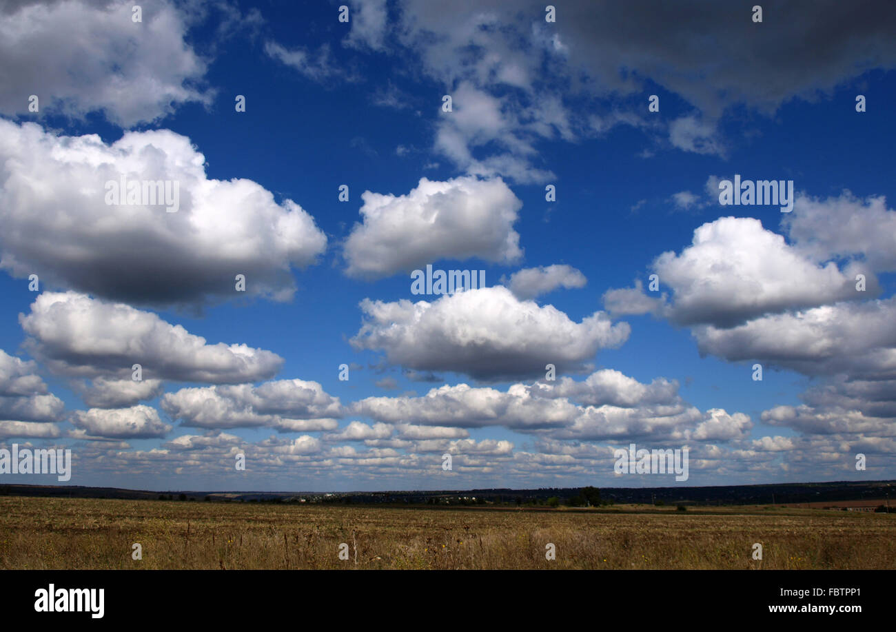 low clouds over the field Stock Photo - Alamy