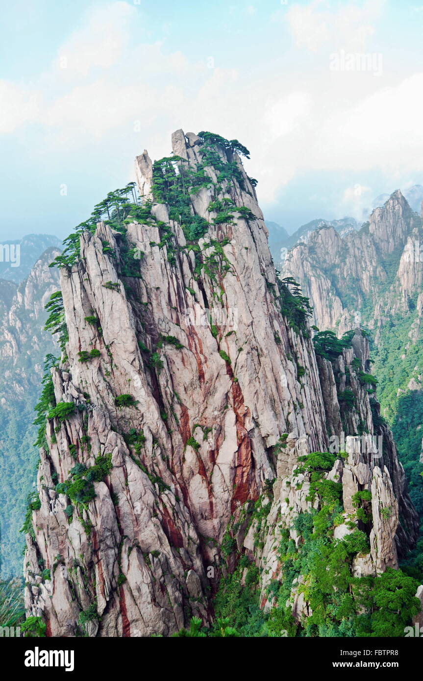 Huangshan pine tree yellow mountain hi-res stock photography and images ...