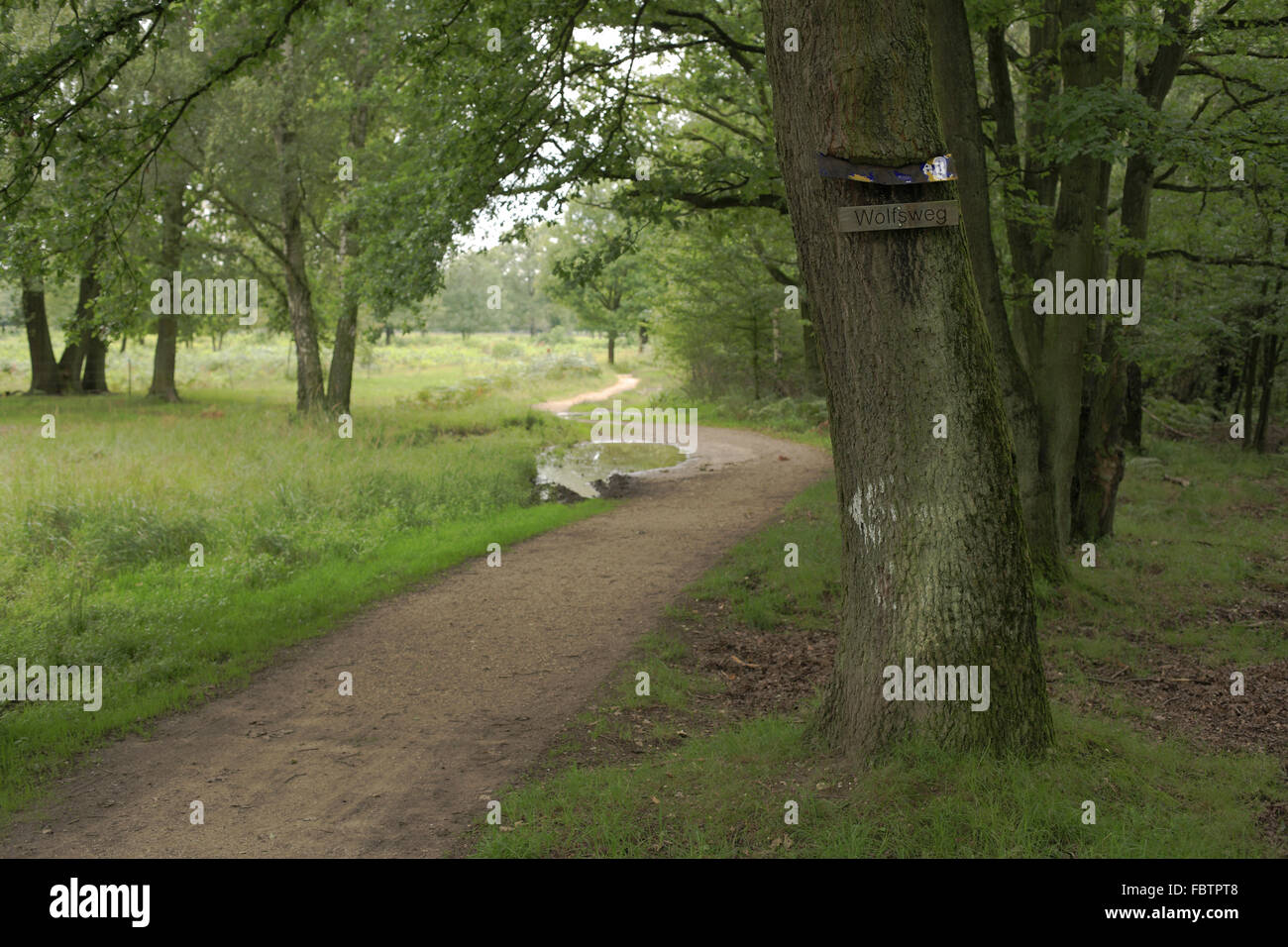 nature reserve Wahner Heide Stock Photo - Alamy