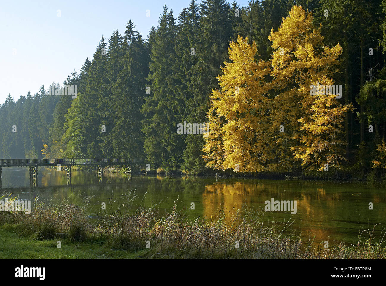 Sinuosity hi-res stock photography and images - Alamy