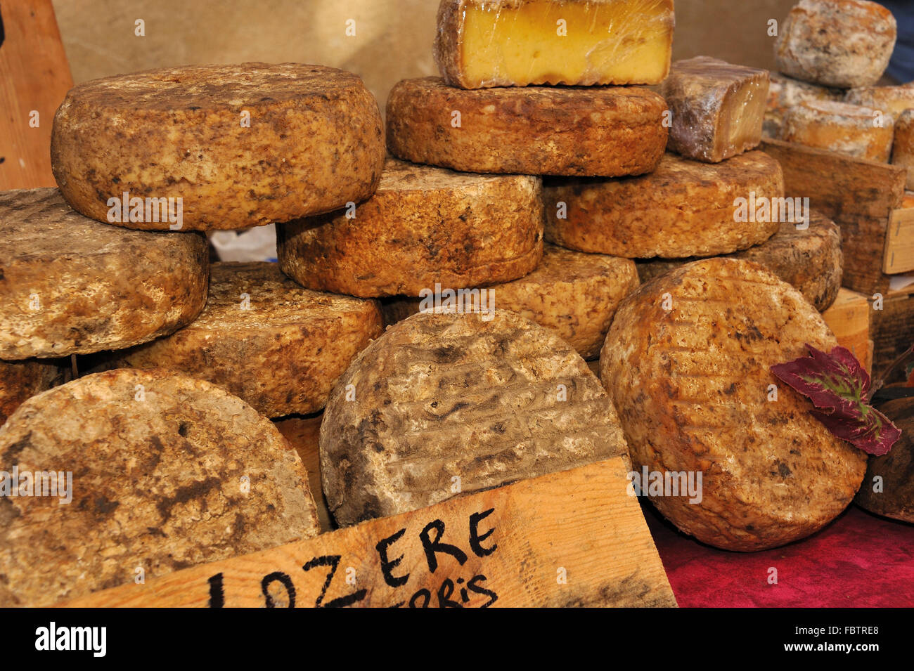 Goat cheese provence france hi-res stock photography and images - Alamy
