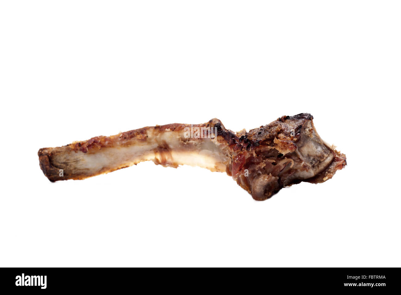 Meaty bone hi-res stock photography and images - Alamy