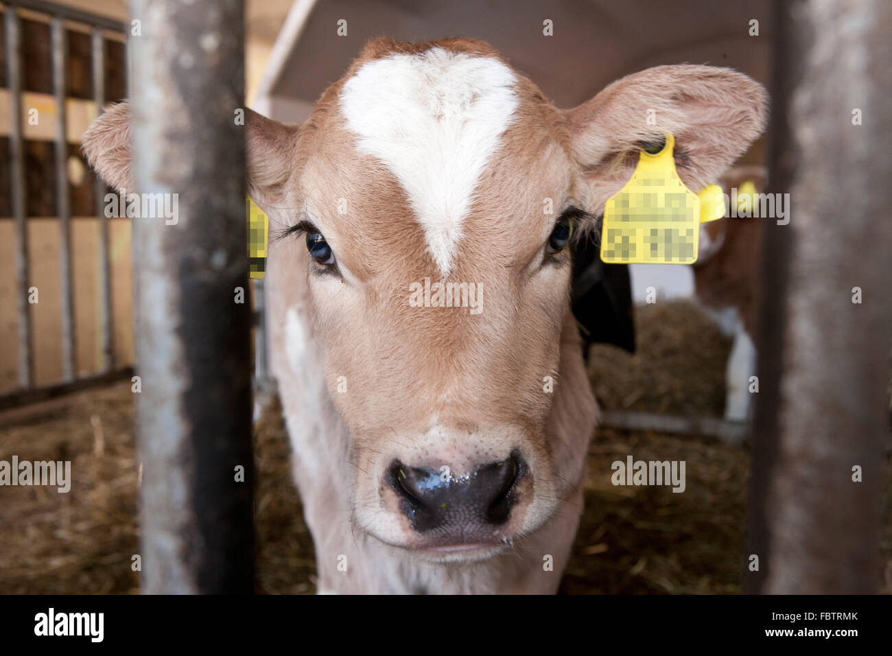 Agriculture and farming hi-res stock photography and images - Alamy