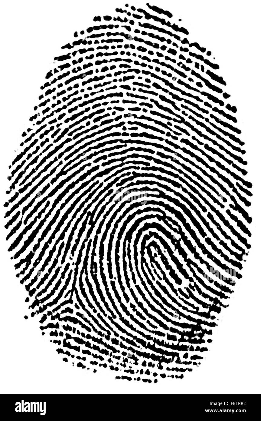 Black and White Fingerprint Stock Photo - Alamy