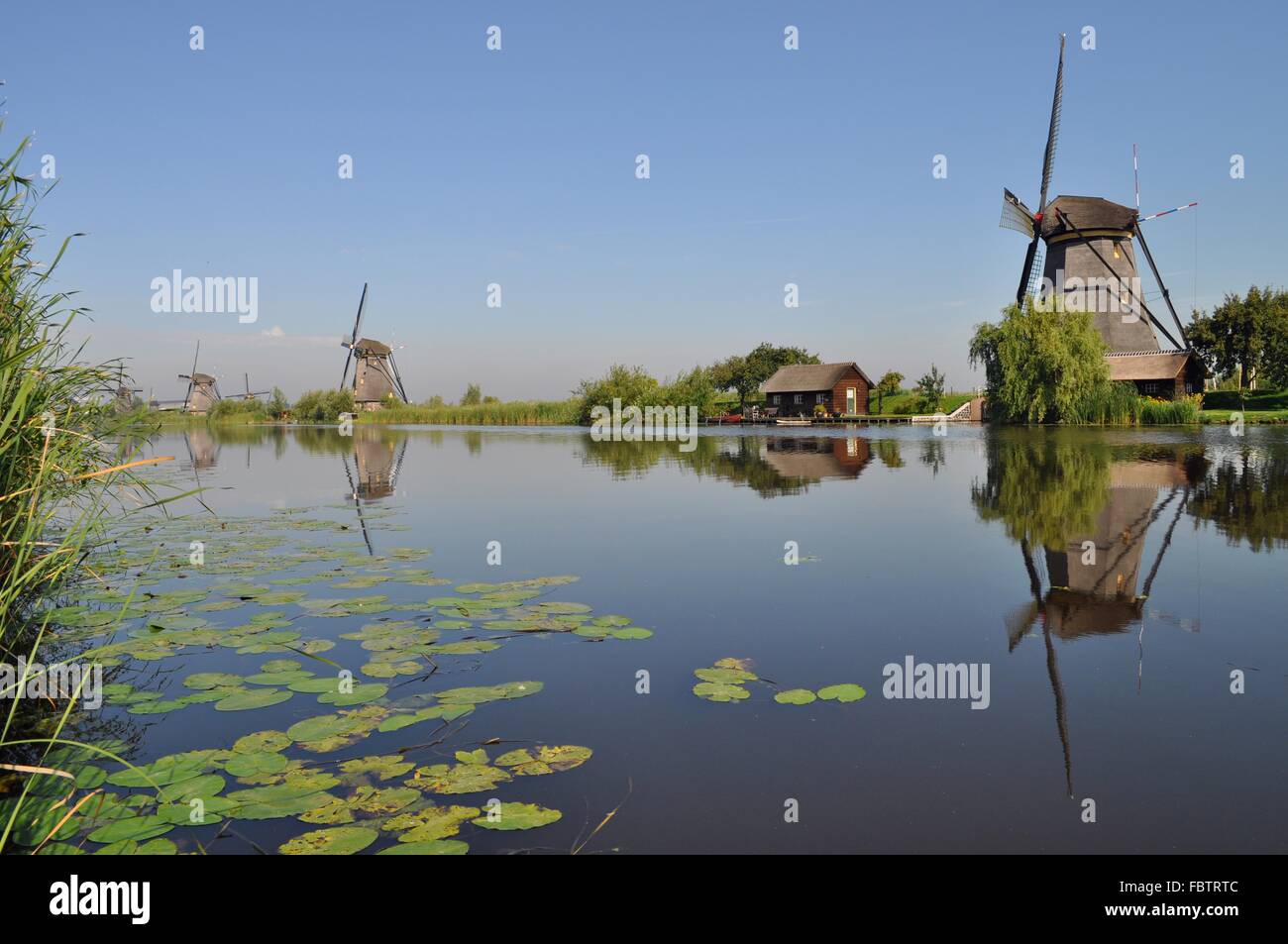 Dutch mill reflecting in a canal Stock Photo - Alamy