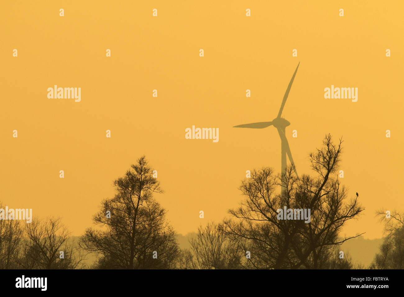 Insel umriss hi-res stock photography and images - Alamy