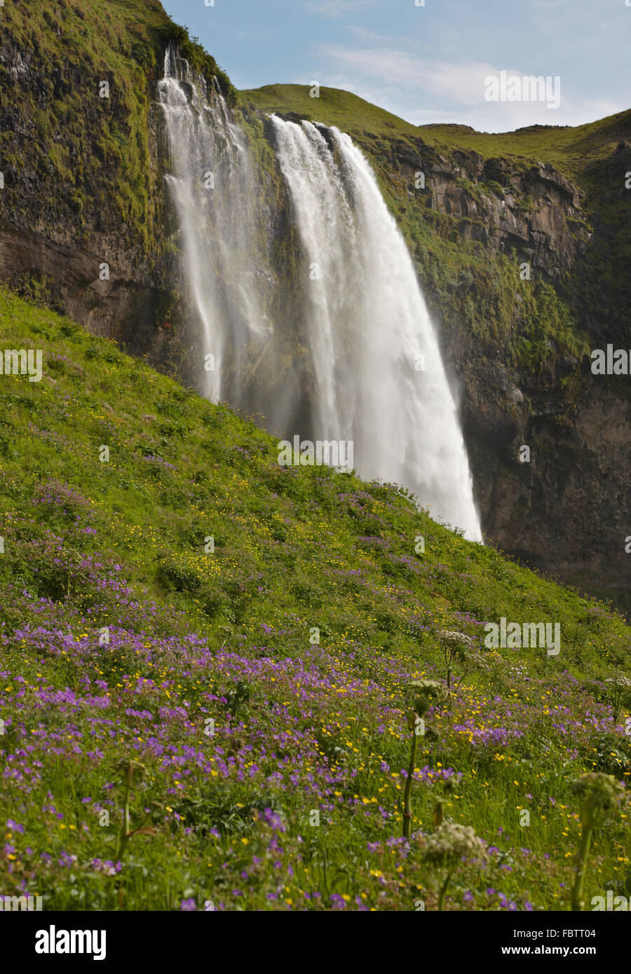 Icelandic waterfall and green ground Stock Photo - Alamy