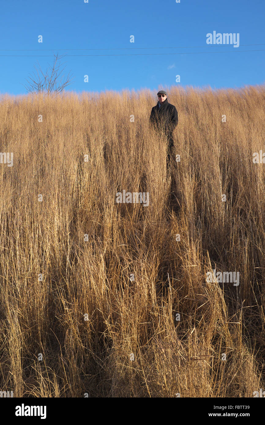 man standing in field Stock Photo - Alamy