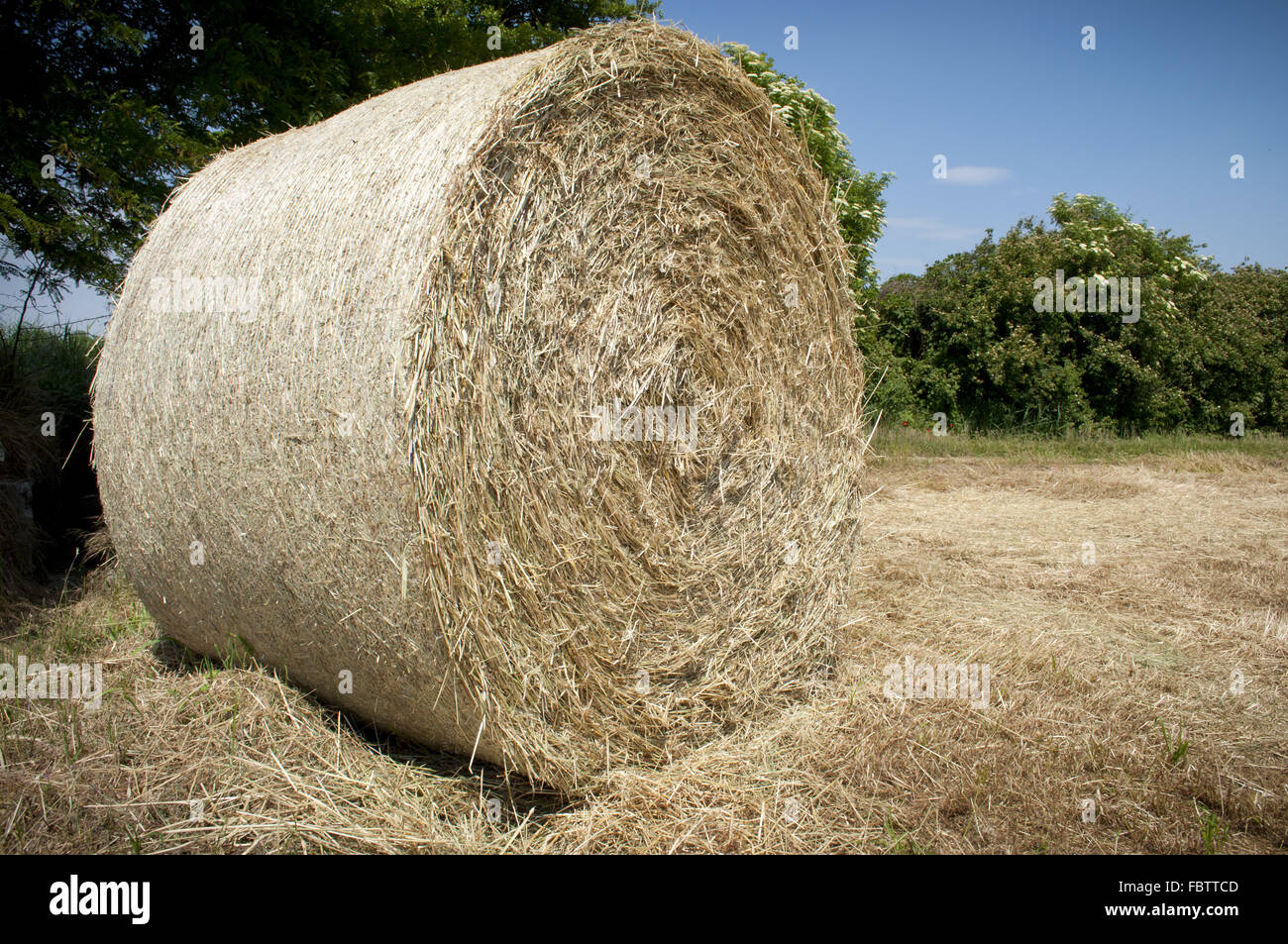 Agrakultur Stock Photos & Agrakultur Stock Images - Alamy