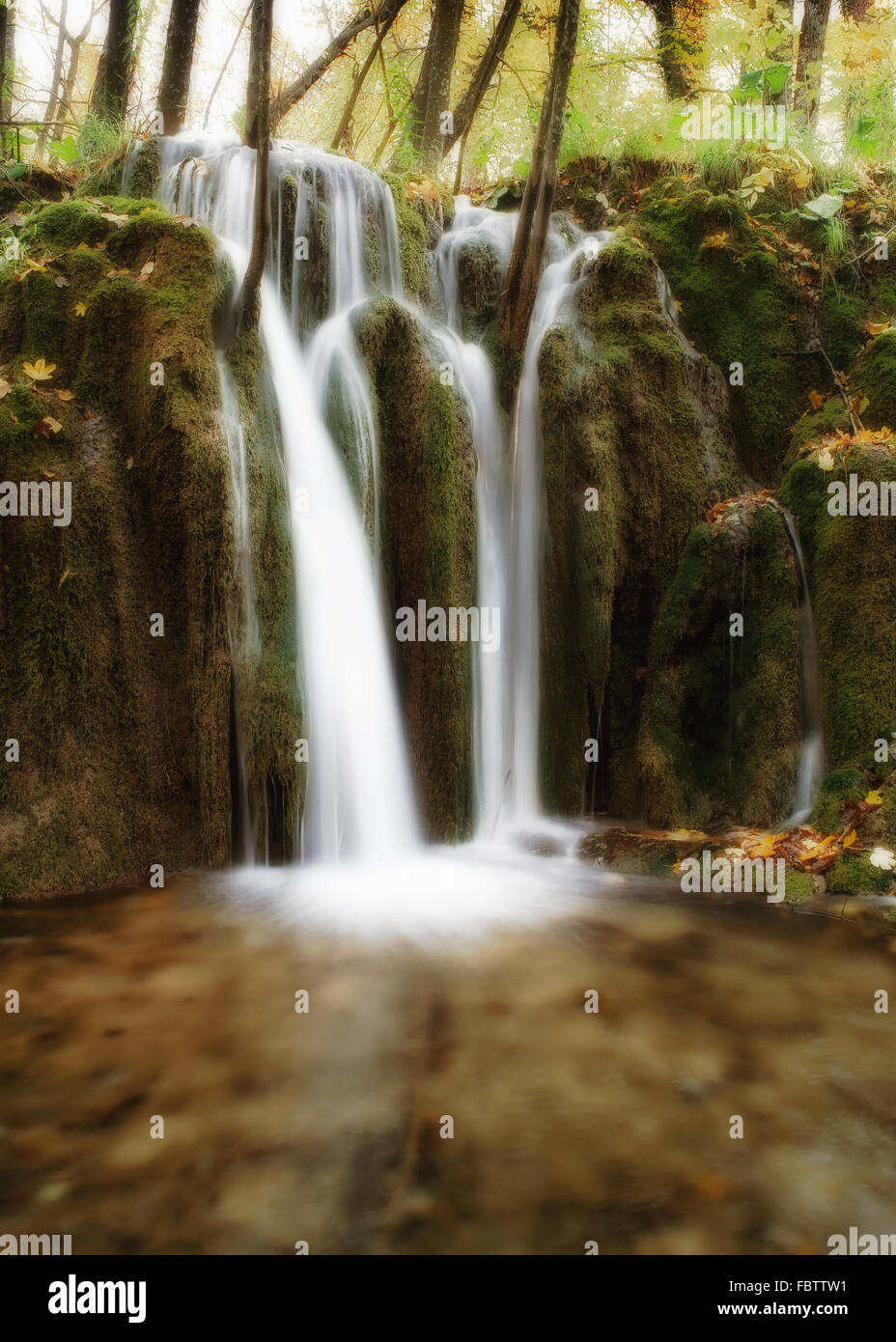 Small forest waterfall Stock Photo - Alamy