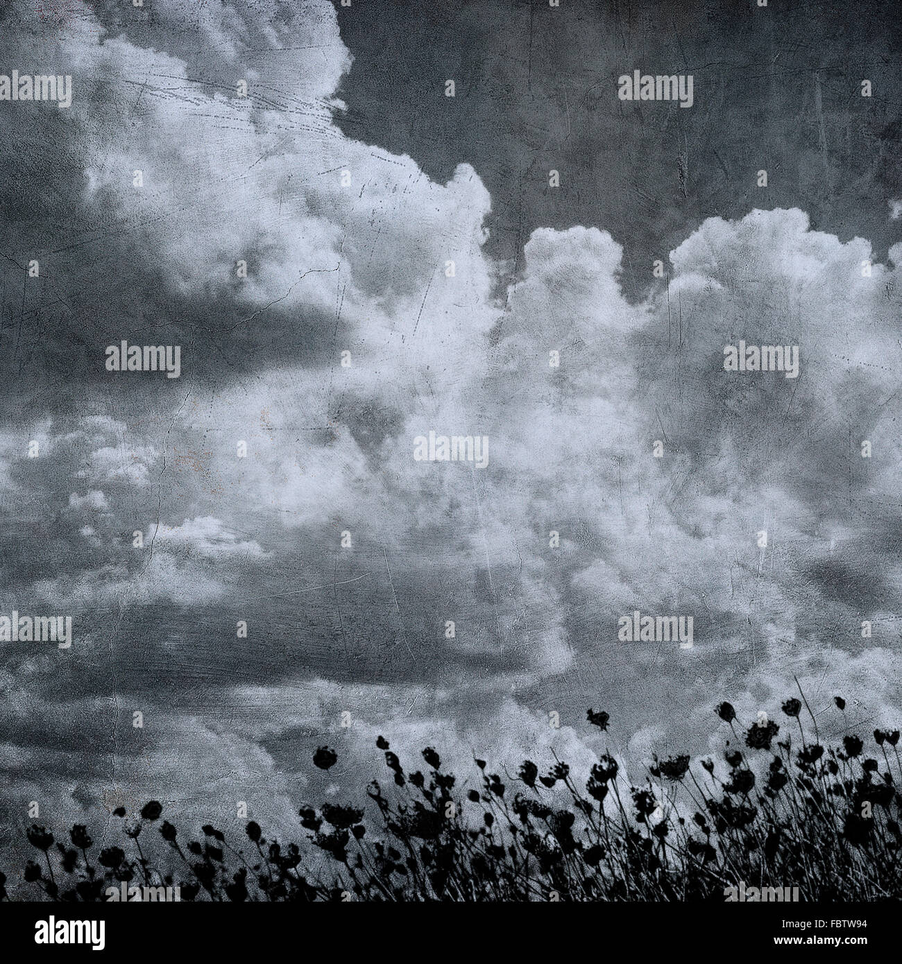 grunge image of cloudy sky and grass, perfect halloween background ...