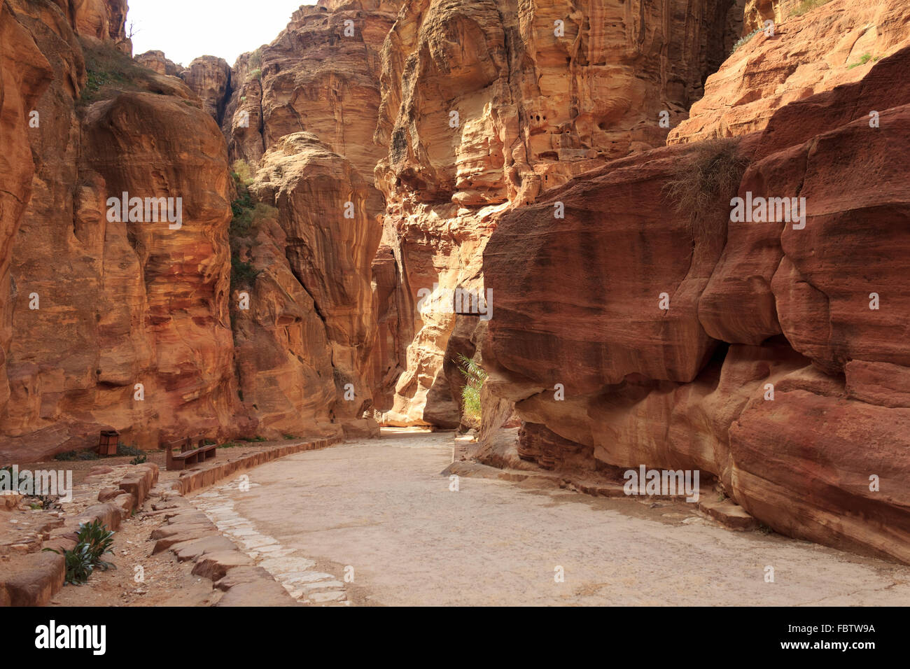 The siq in petra hi-res stock photography and images - Alamy