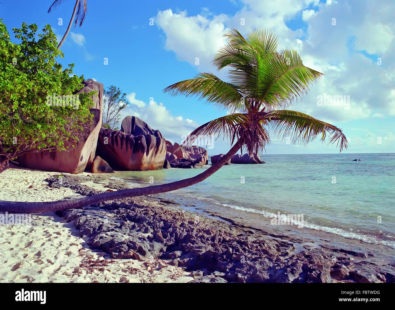 Seychelles native hi-res stock photography and images - Alamy