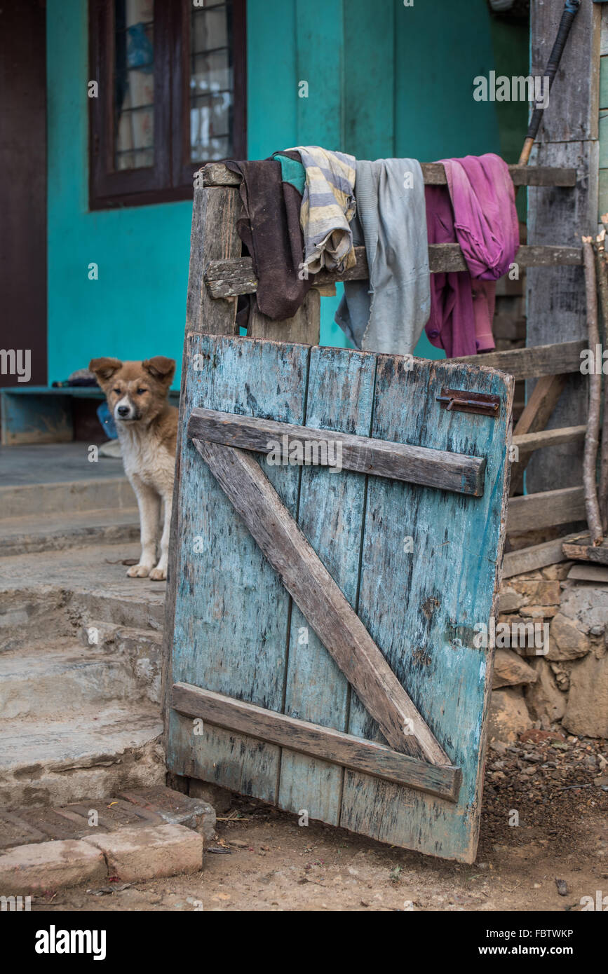 Weathered open blue gate revealing a bright blue house and a dog. The ...