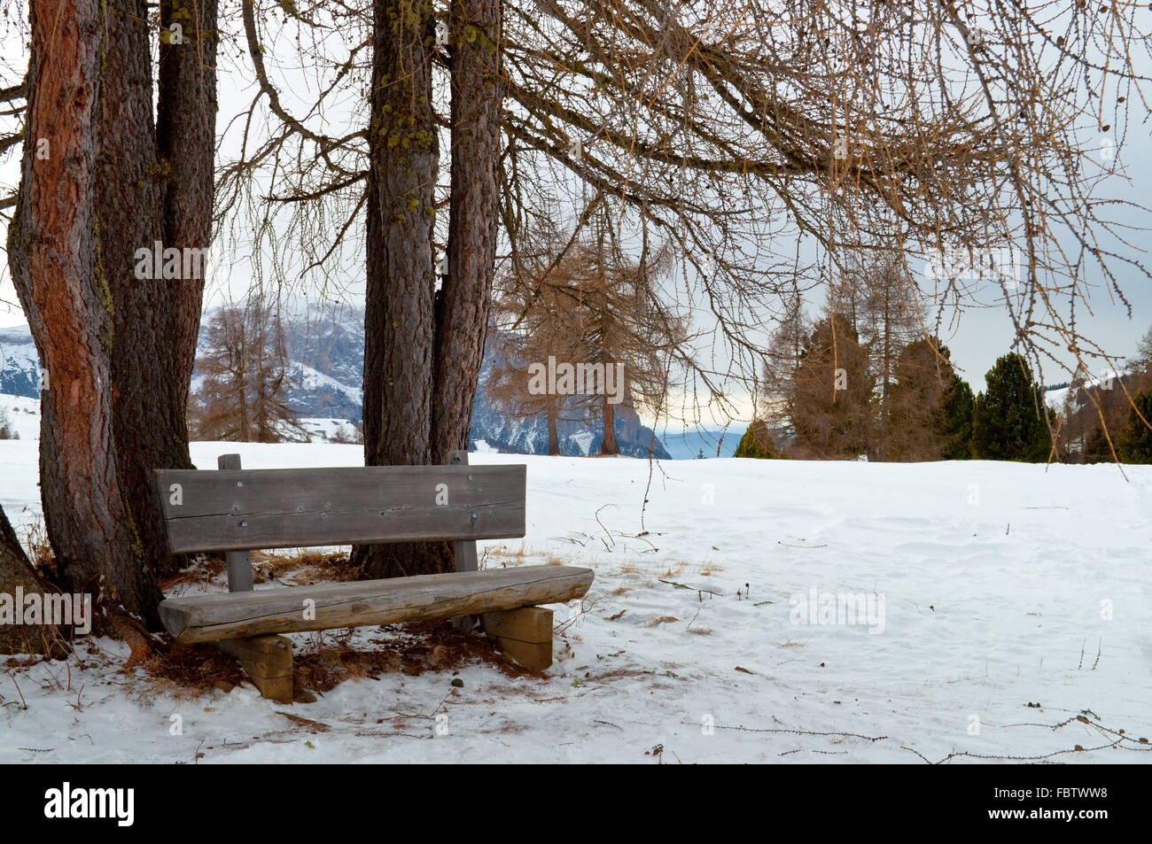 Empty bench in lonely winter hi-res stock photography and images - Alamy