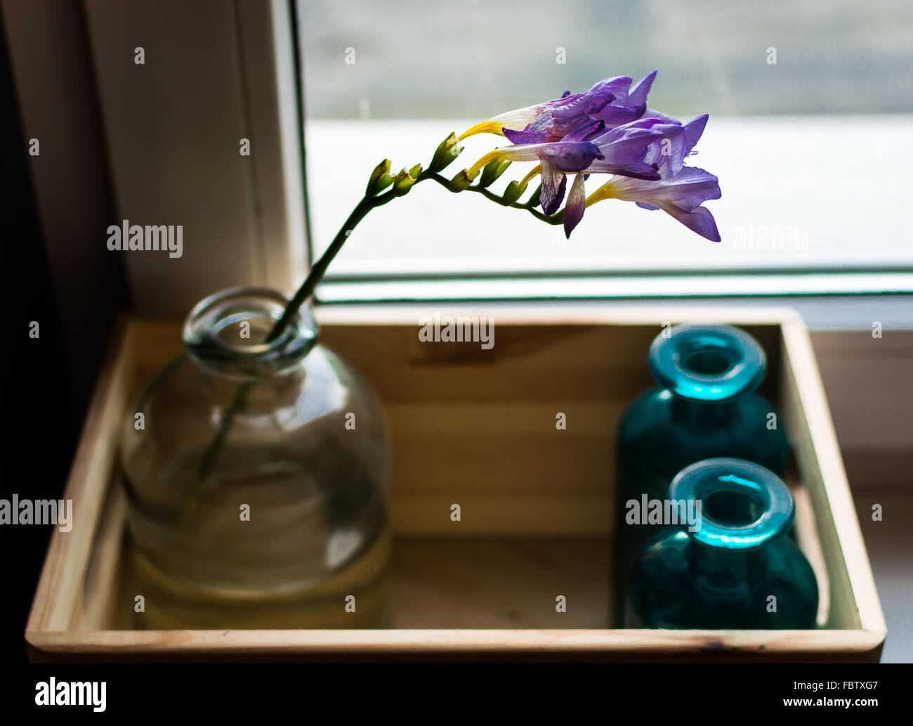 Vases in window hi-res stock photography and images - Alamy