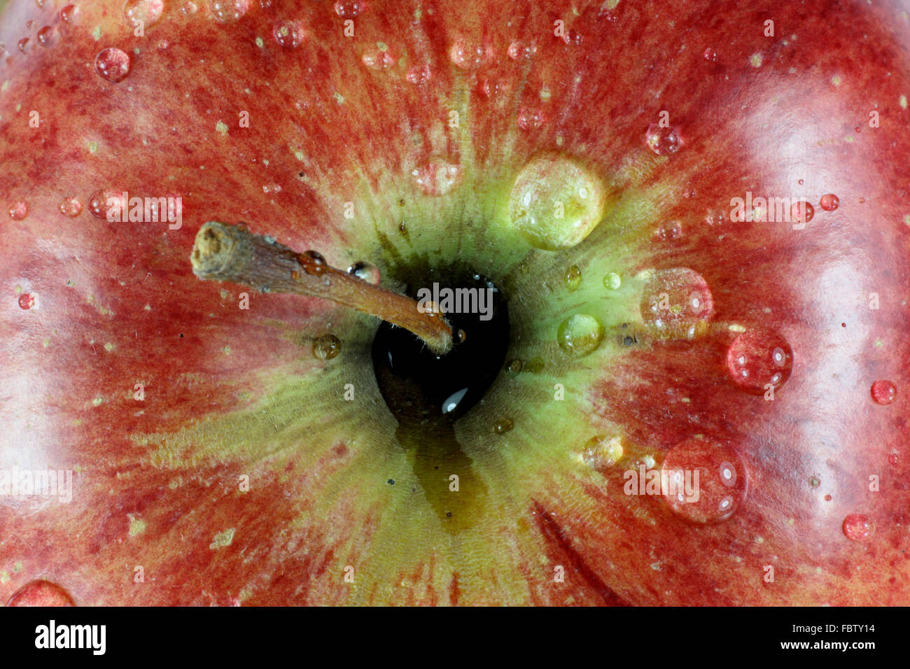 Red Apple - front Stock Photo - Alamy
